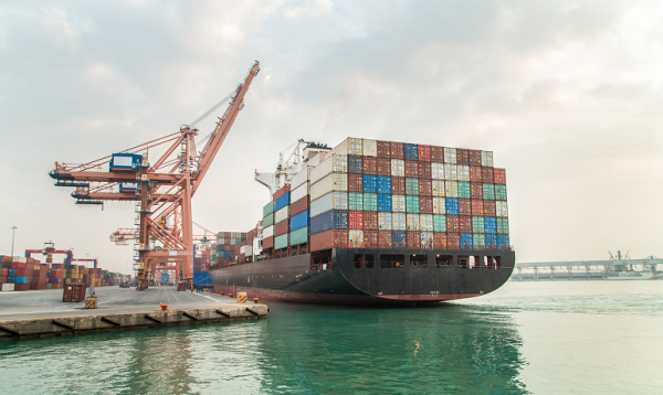 Liner Shipping Solutions Scheduled Cargo Transport Across Regions